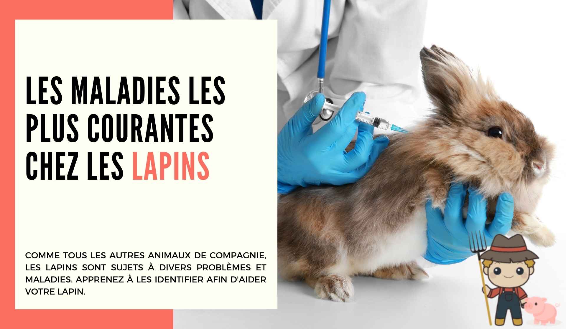 Les maladies les plus courantes chez les lapins | Le Petit Fermier